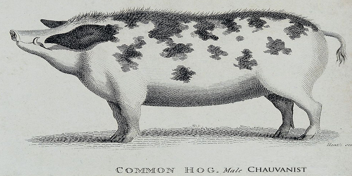 Male Chauvinists: Who Are They And Why Are They Pigs? - He,Him,His